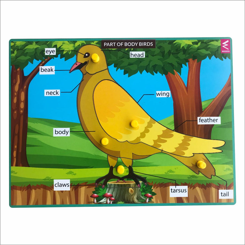 Wooden Birds parts Peg board puzzle- 12*9 inch – WissenProduct