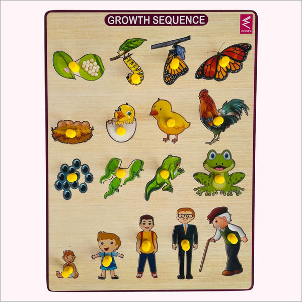 Wooden Growth Sequence peg board puzzle game-12*9 inch for kids ...