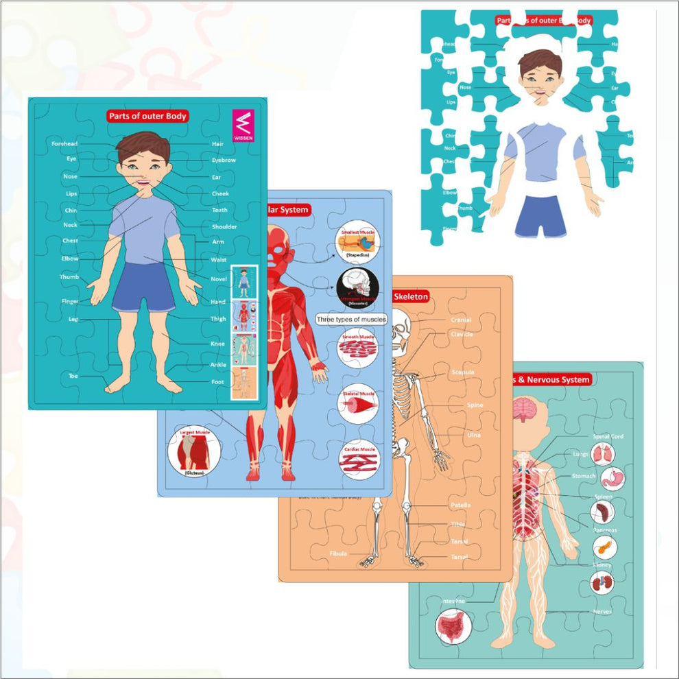 Wooden Multilayer Human Anatomy Puzzle For kids- 12*9 inch – WissenProduct