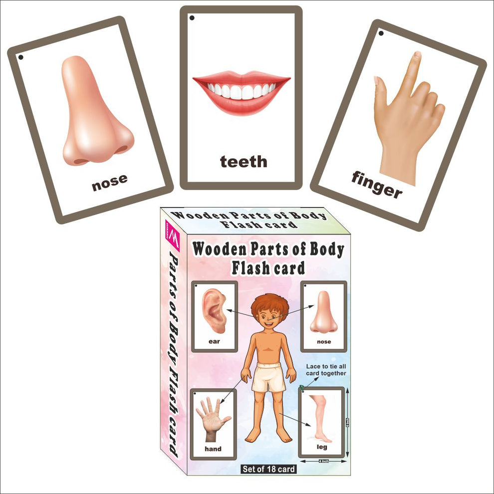 Wooden (MDF) Parts of Body Learning Flash card with lacing thread ...